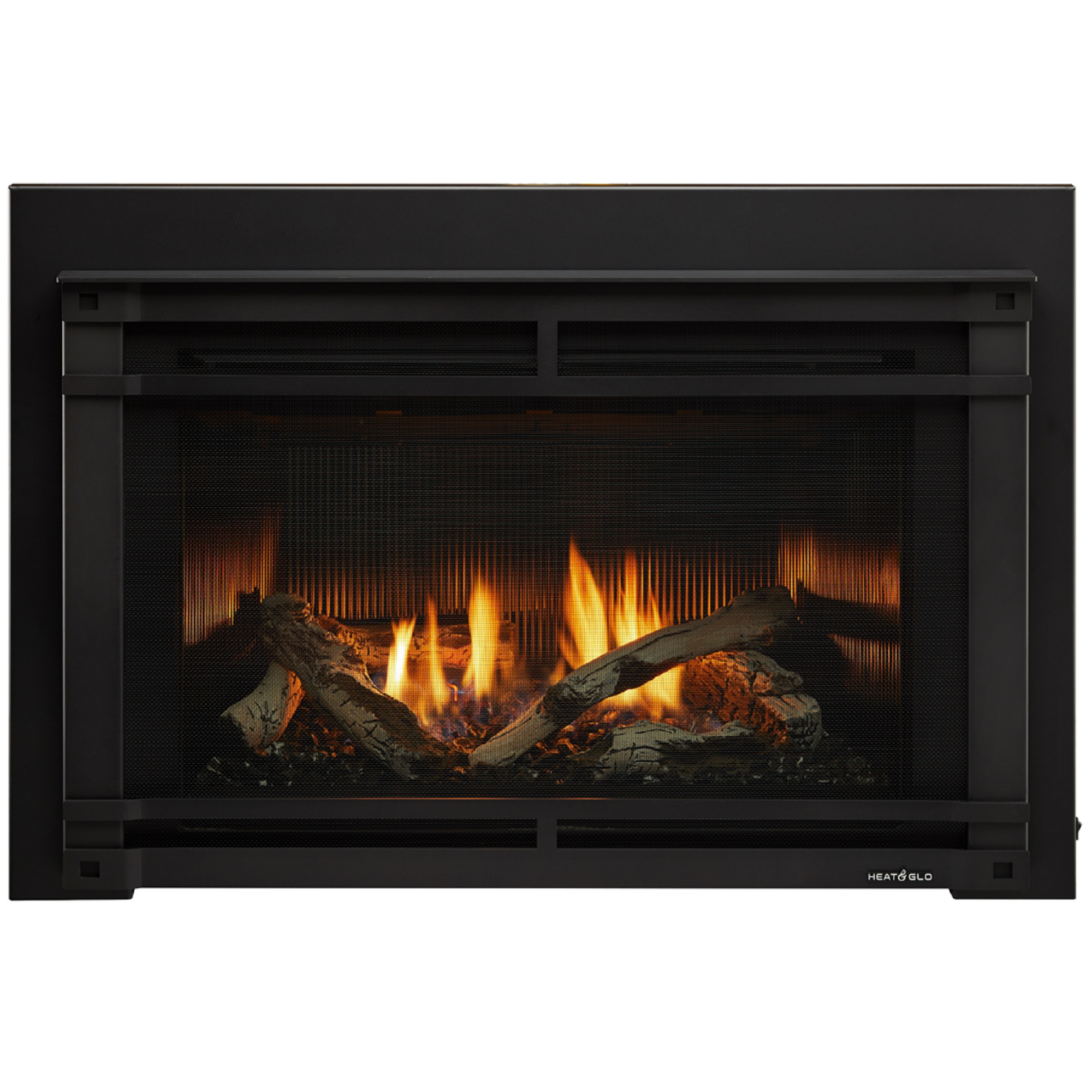 Gas Inserts - Fireside Hearth & Home